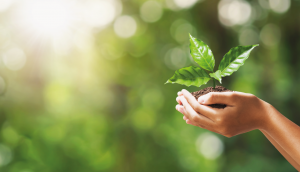 Base World – Base Protection World